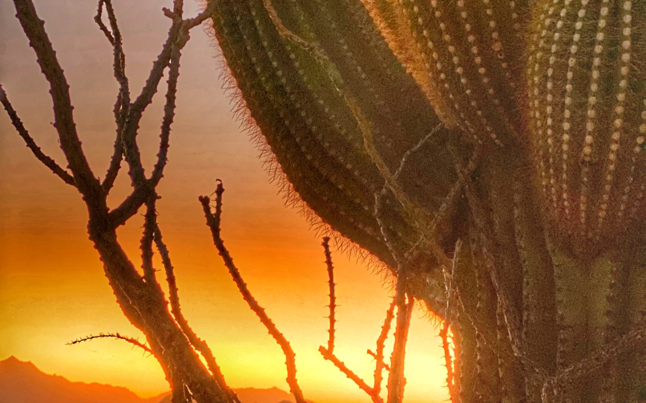 13 Characteristics of a Nurse: What Makes a Great Nurse?