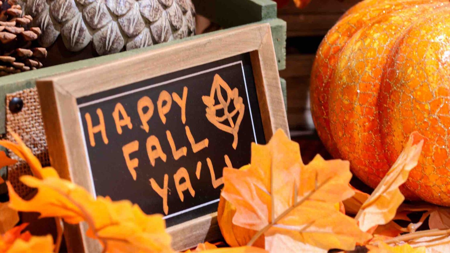 Fall Free Fall: Patient Fall Prevention, Risk Diagnosis, and Interventions